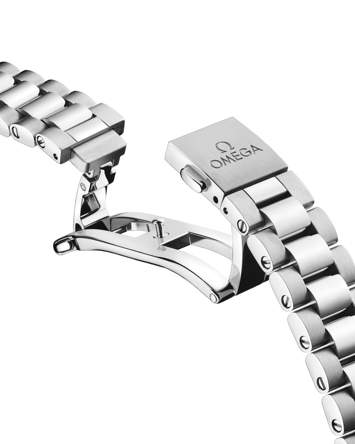 海马系列 AQUA TERRA 150米腕表 41毫米, 精钢表壳 搭配 精钢表链 - 220.10.41.21.03.006 | OMEGA®